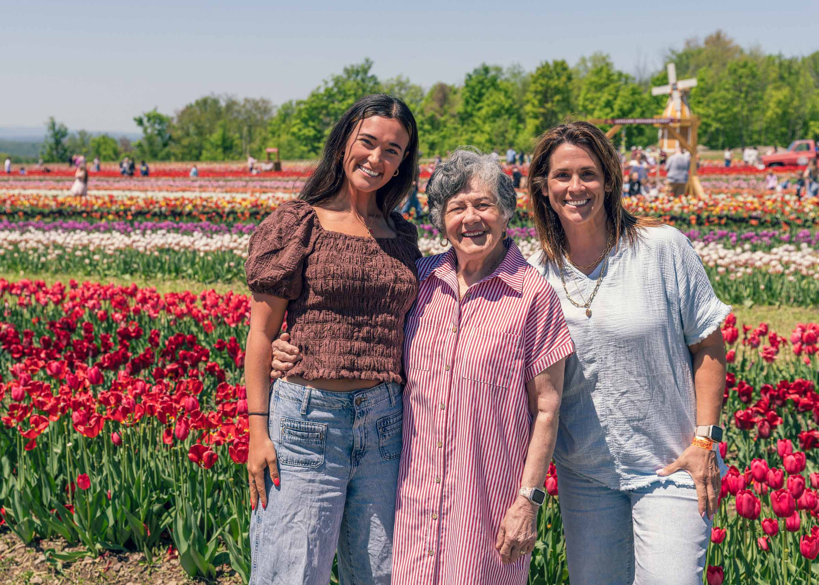 Tulip Festival | Tulip Field near Scranton, PA – Lakeland Orchard ...
